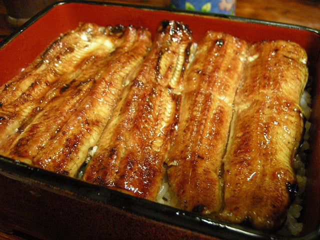 Outone Unagi Shop (Chiba) – Umami Mart