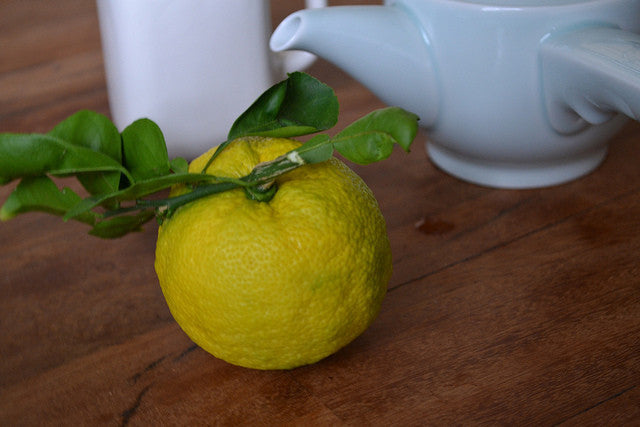 Japanify: Yuzu Ginger Tea – Umami Mart