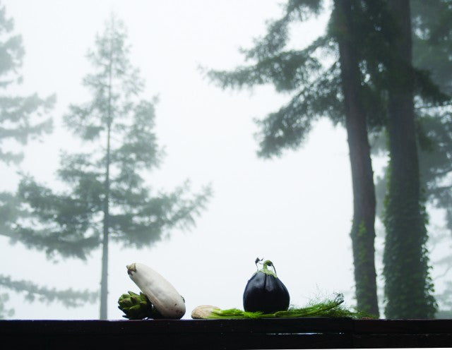 The Forest Feast Show @ Umami Mart