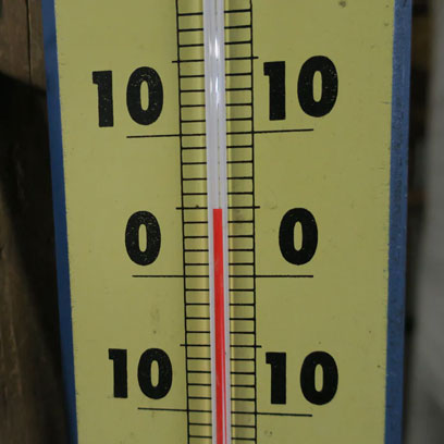 Low Temperature Fermentation (January 2023) – Umami Mart