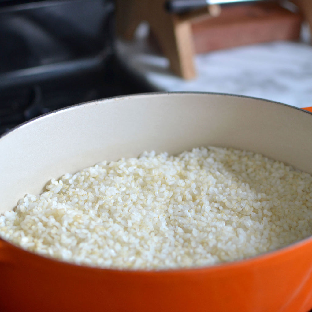 Tamaki Haiga Rice – Umami Mart