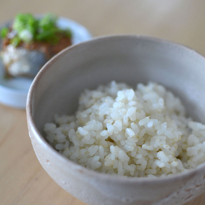 Tamaki Haiga Rice – Umami Mart